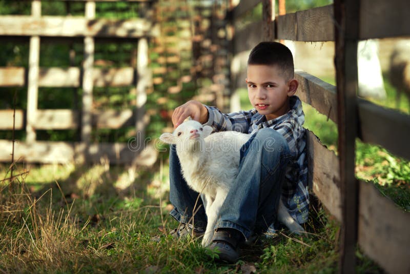 Little boy with lamb stock image. Image of cute, caucasian - 45206039