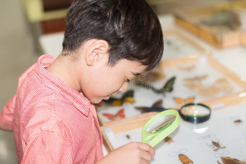 Little Boy Learning Science Class with Microscope in the Class Stock ...
