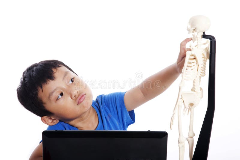 Boy learns human anatomy stock image. Image of kindergarten - 22282899