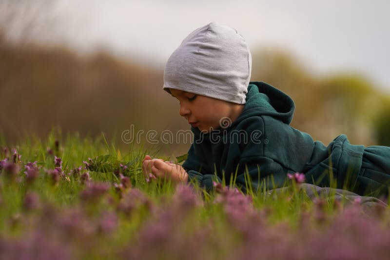 A Little Boy Lies in a Spring Meadow among Flowers and Dreams. Stock ...