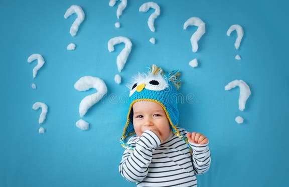 Question Mark Owl Stock Photos - Free & Royalty-Free Stock Photos from ...