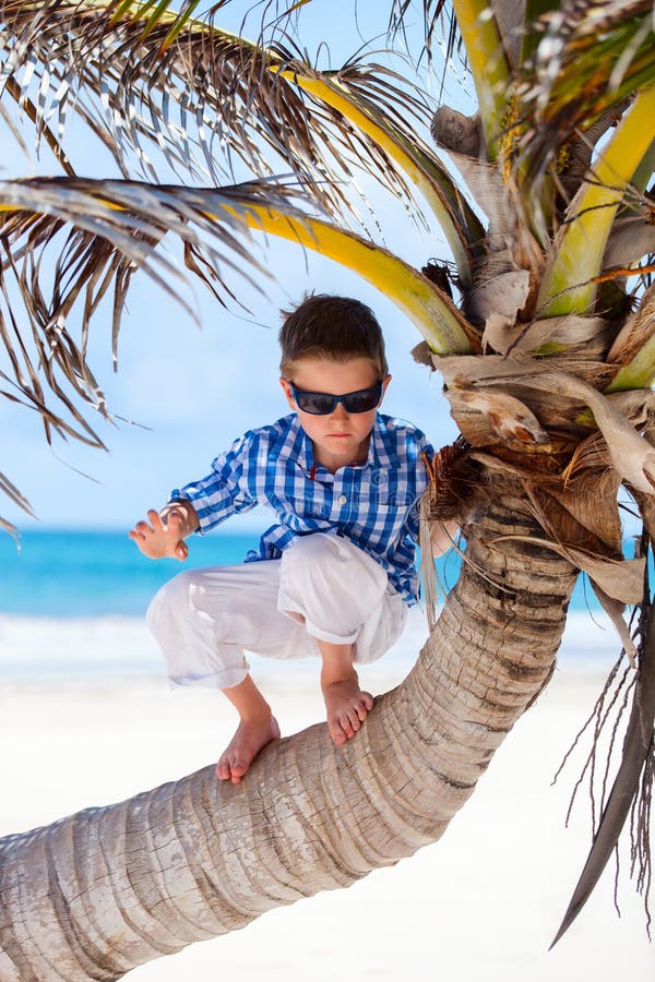 909 Little Boy Palm Tree Stock Photos - Free & Royalty-Free Stock ...
