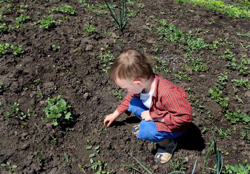Little Boy Picking Up Something Off the Ground Stock Photo - Image of ...