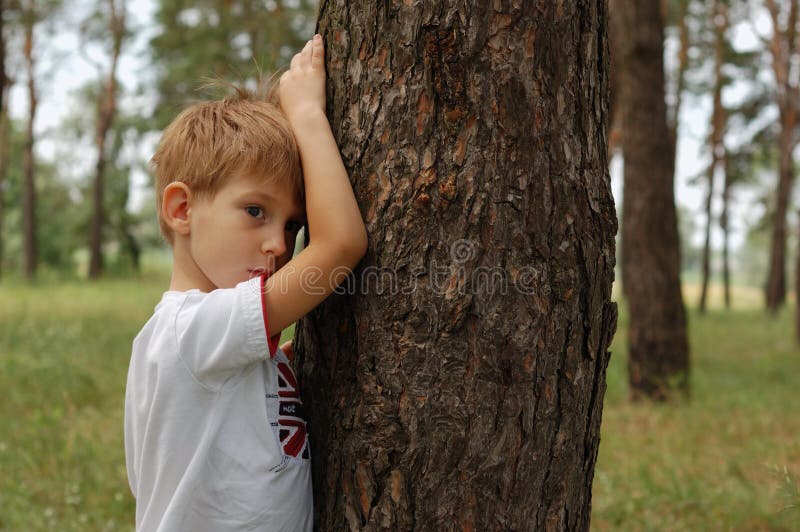 Little Boy In Pines Forest Stock Photography - Image: 15071722