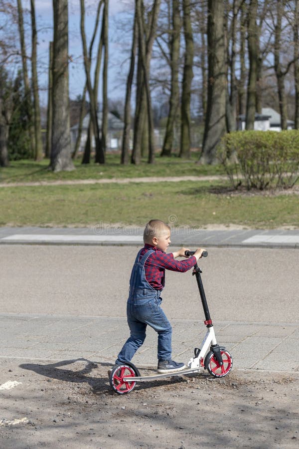 Little Boy Play Balance Scooter at Spring in Park Stock Photo - Image ...