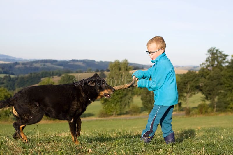 Little boy play with dog stock photo. Image of animal - 59074162