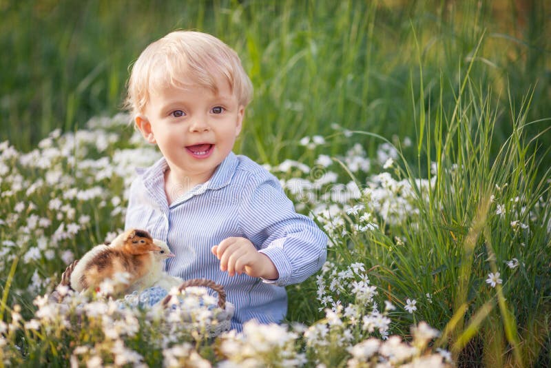 Little Boy Playing with Chickens in Spring Garden. Easter Time Stock ...