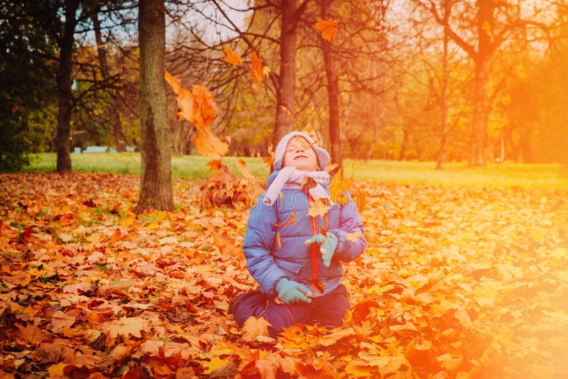 Little Boy Playing with Leaves in Autumn Fall Stock Photo - Image of ...