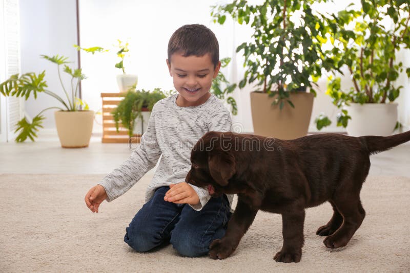 Little Boy Playing with Puppy. Friendly Dog Stock Photo - Image of ...