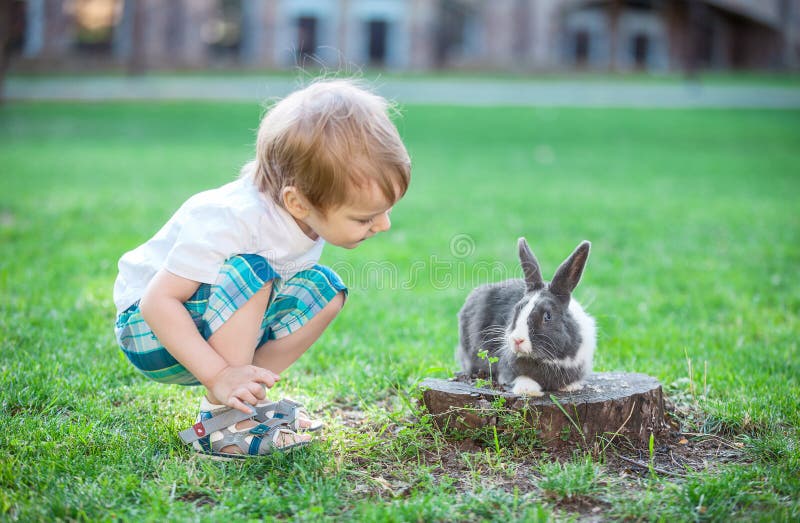 Little Boy Playing with Rabbit. Stock Image - Image of beautiful ...