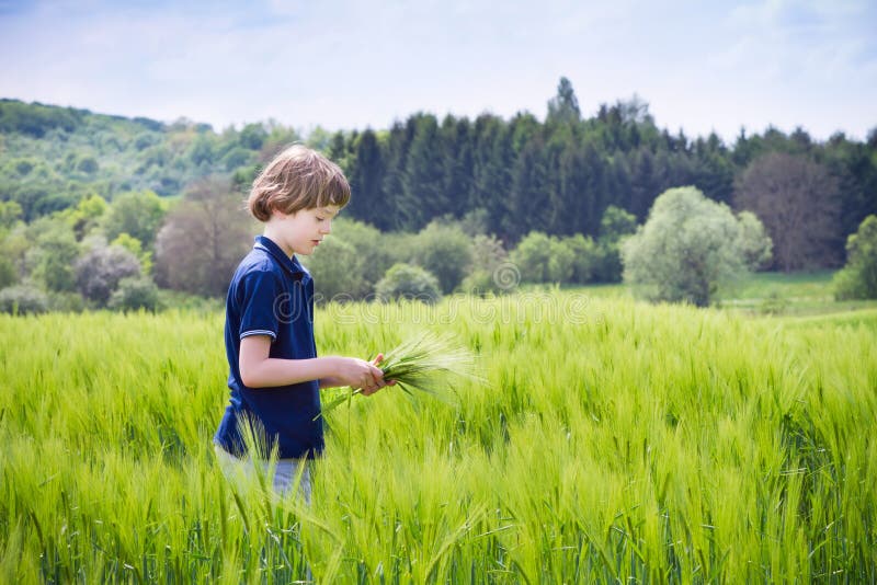 Little Boy Playing in a Scenic Field Stock Photo - Image of picking ...