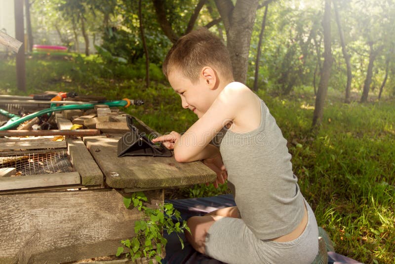 Boy playing on tablet stock image. Image of nature, child - 148121315