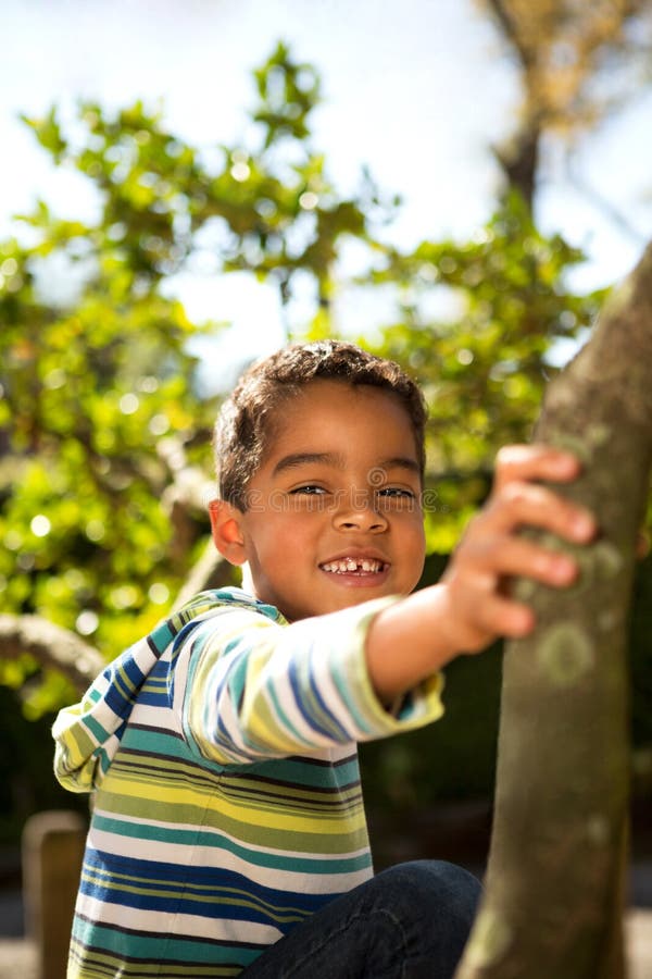 Little Boy Playing in a Tree. Stock Photo - Image of playground, summer ...