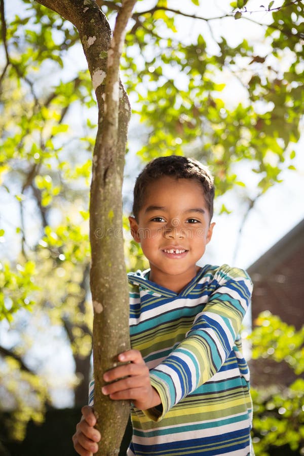 Little Boy Playing in a Tree. Stock Image - Image of climbing, playful ...