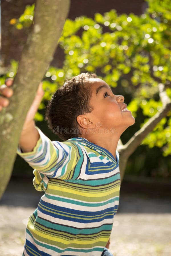Little Boy Playing in a Tree. Stock Photo - Image of tree, strength ...