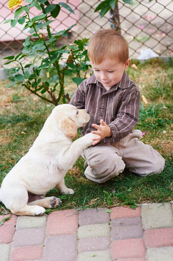 Little Boy Plays with a White Puppy Labrador Stock Image - Image of ...