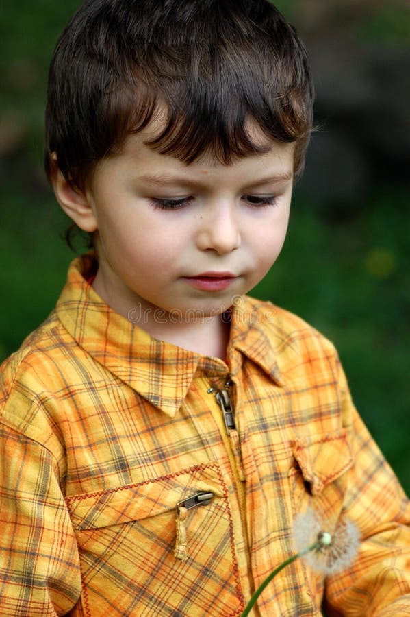 Little boy portrait stock photo. Image of little, yellow - 9130584