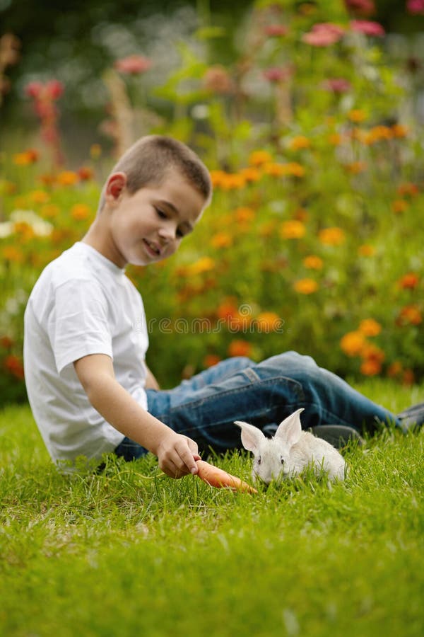 Little boy with rabbit stock photo. Image of farm, animal - 75132178