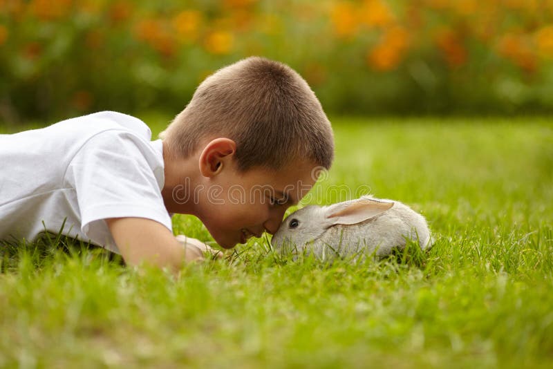 Little boy with rabbit stock photo. Image of happy, little - 75132302