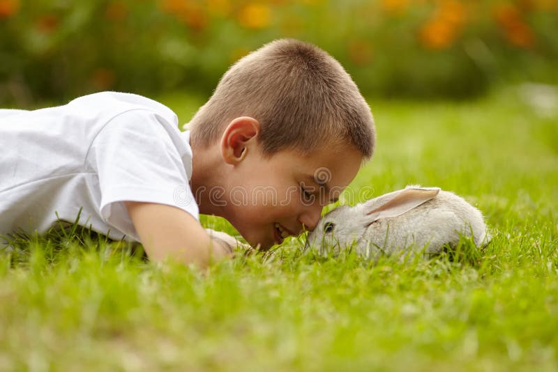 Little boy with rabbit stock image. Image of eyes, enjoyment - 75132331