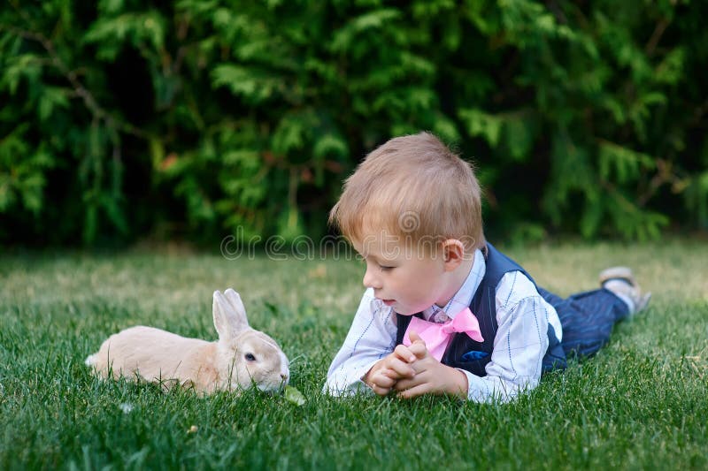 Little Boy with a Rabbit Lying on the Grass Stock Photo - Image of ...