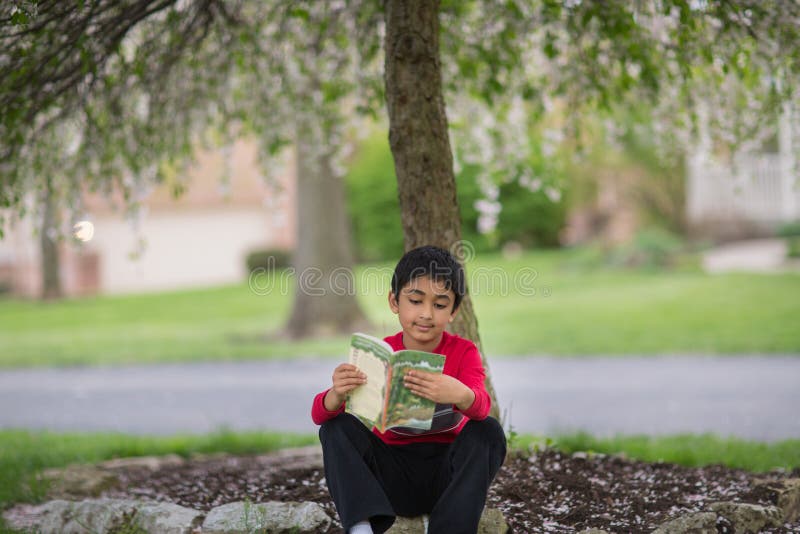 Indian Boy Reading A Book