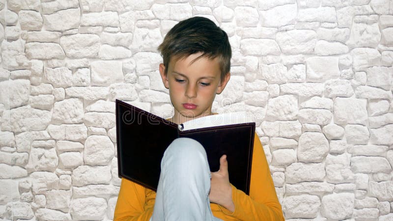The Little Boy is Reading a Brown Book. Stock Image - Image of fashion ...