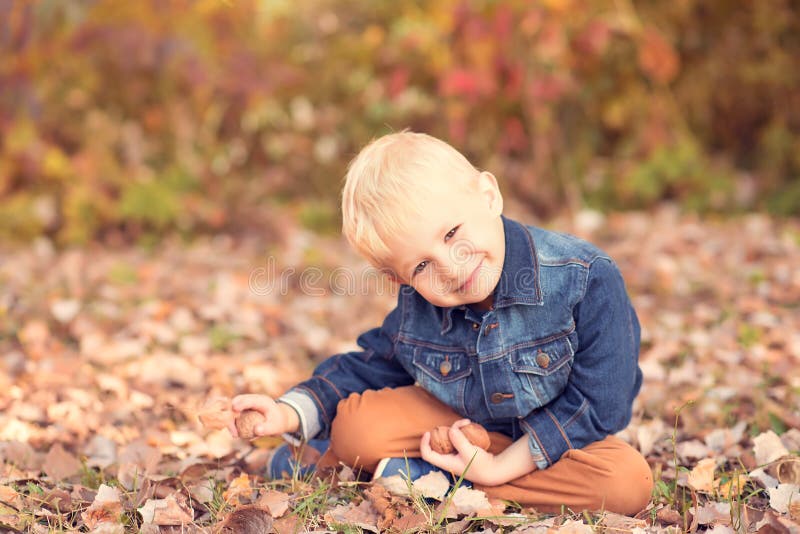 Little Boy Relaxing in the Autumn Park Stock Photo - Image of charming ...
