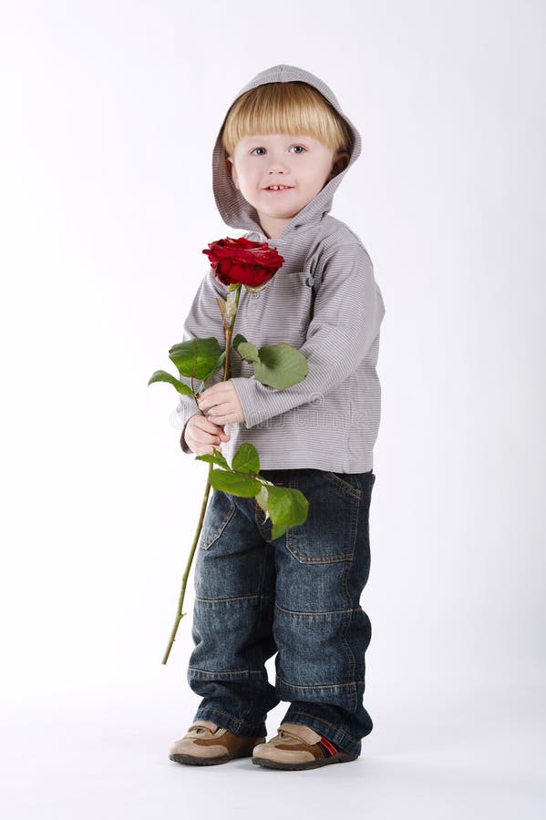Little Boy with Rose on White Stock Photo - Image of child, eyes: 76524692