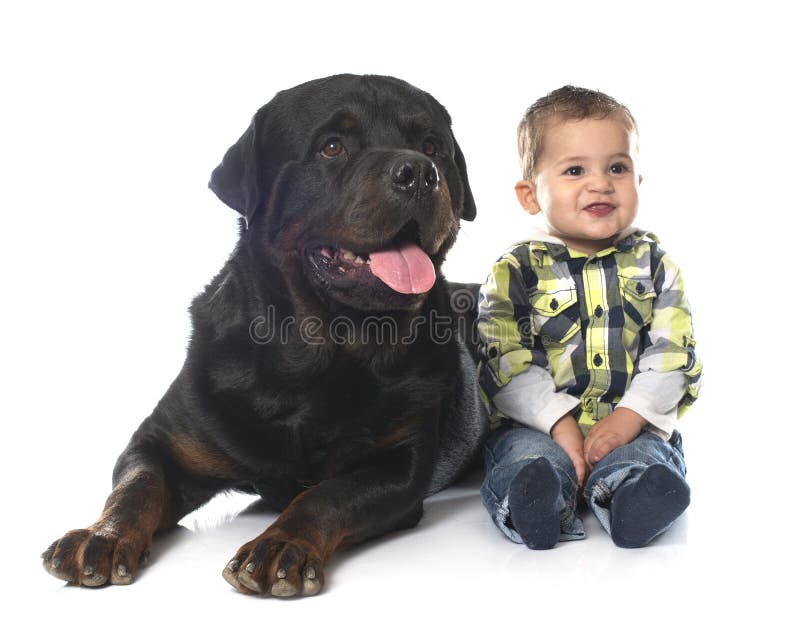281 Child Rottweiler Stock Photos - Free & Royalty-Free Stock Photos ...