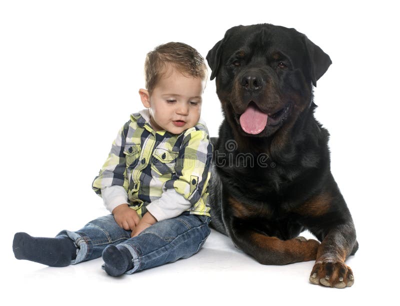 247 Child Rottweiler Stock Photos - Free & Royalty-Free Stock Photos ...