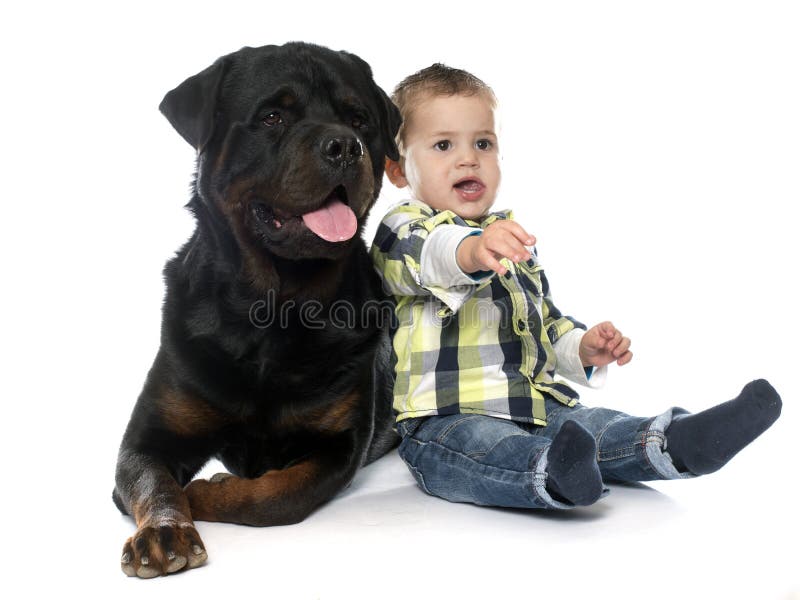 Child and rottweiler stock photo. Image of collar, friendship - 11452480