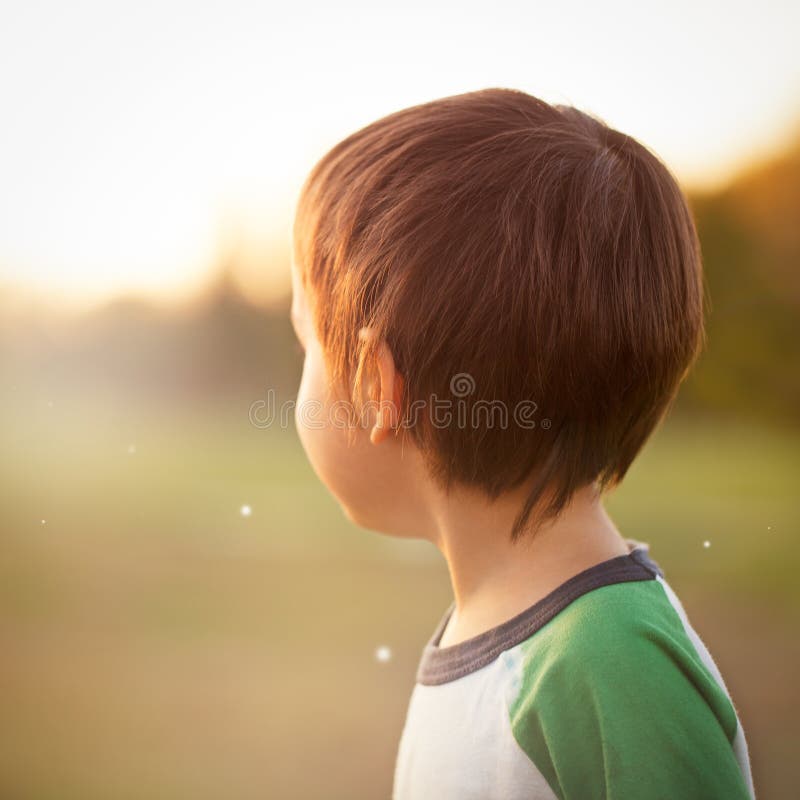 Little Boy s Portrait stock photo. Image of looking, space - 30982842