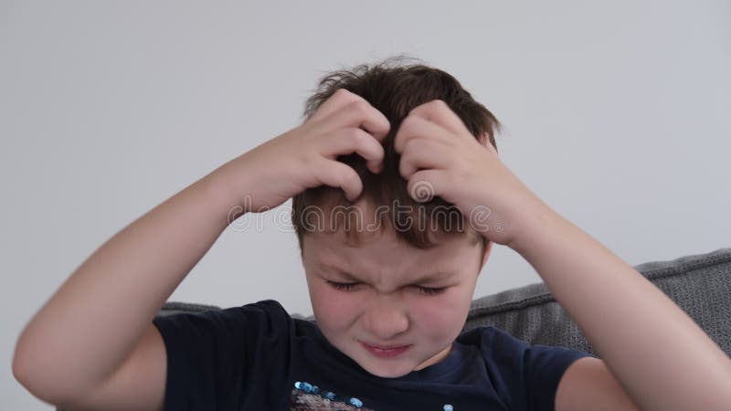 Little Boy Scratching His Head, Allergies, Lice Stock Video - Video of ...