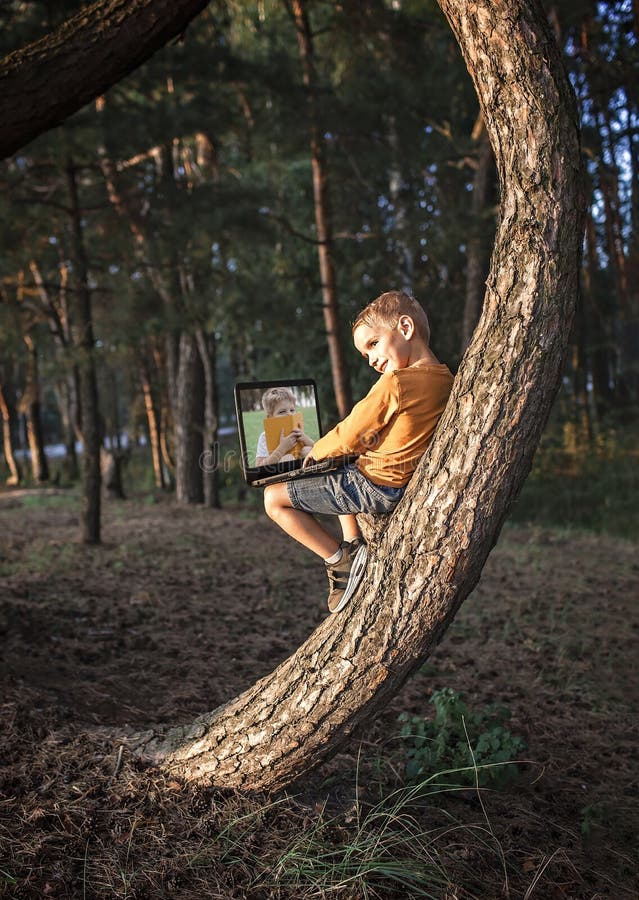 Boy Sitting Alone on Tree in Forest with Digital Device, Physical ...