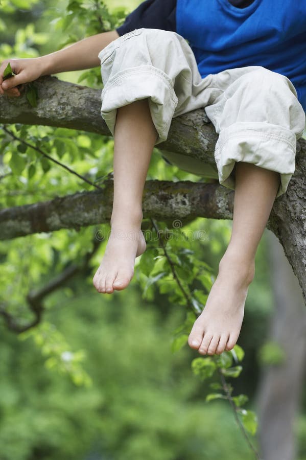 Bare feet on branch stock image. Image of tree, feet - 34585191