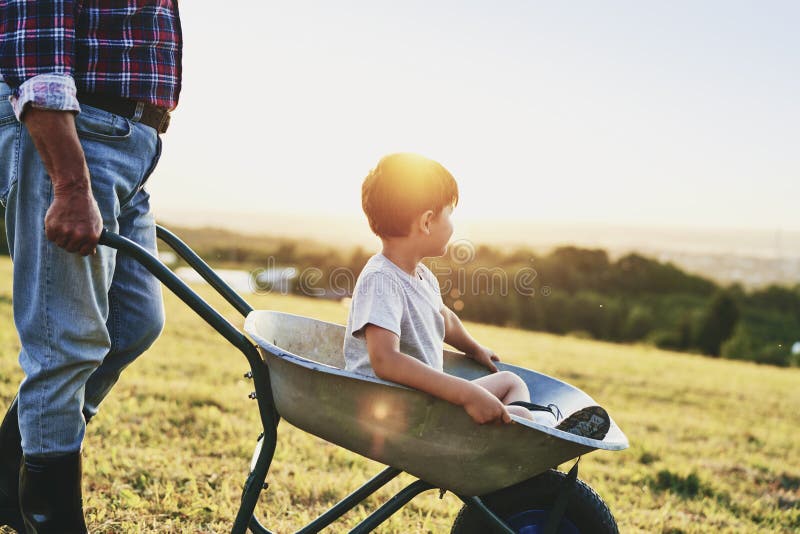 Boy Sitting in Wheelbarrows at Sunset Stock Image - Image of ...