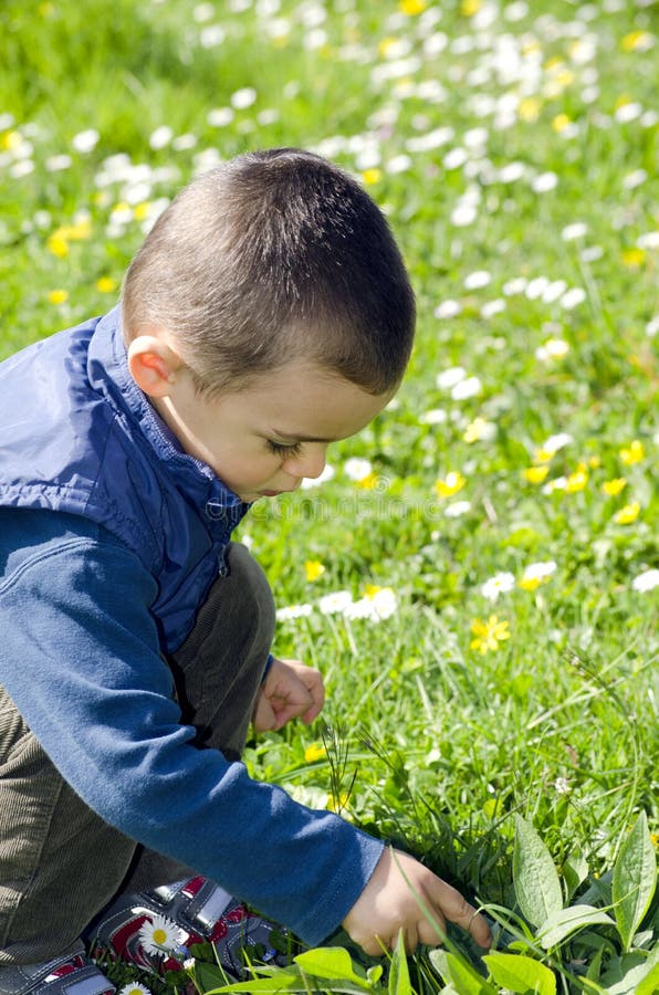 Little boy spring stock photo. Image of fresh, blossom - 38891436