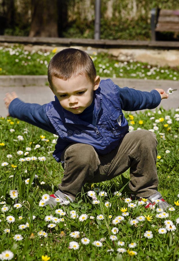Little boy spring stock photo. Image of flowers, discovery - 44659416