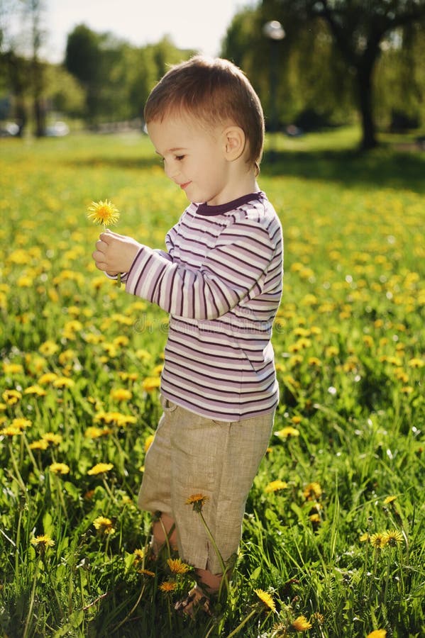 Little Boy in Spring Dandelion Meadow Stock Photo - Image of nature ...