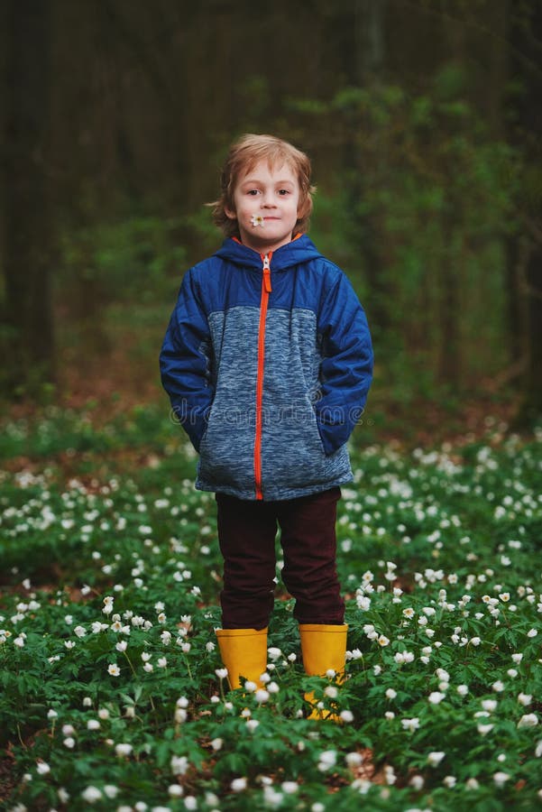 Little Boy in Spring Forest with Many Flowers Stock Photo - Image of ...