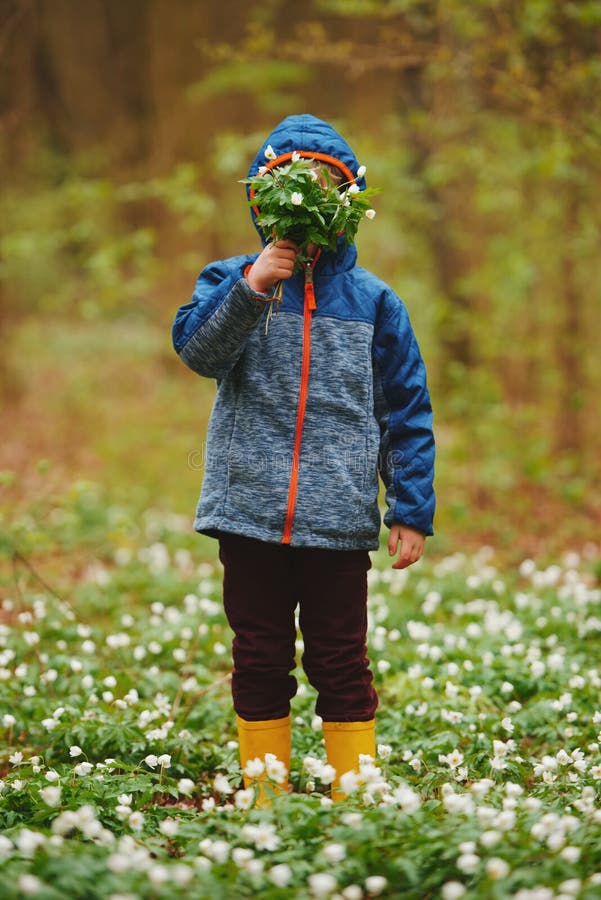 Little Boy in Spring Forest with Many Flowers Stock Photo - Image of ...
