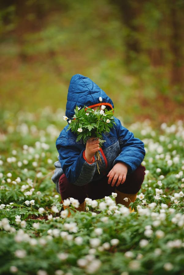 Little Boy in Spring Forest with Many Flowers Stock Photo - Image of ...