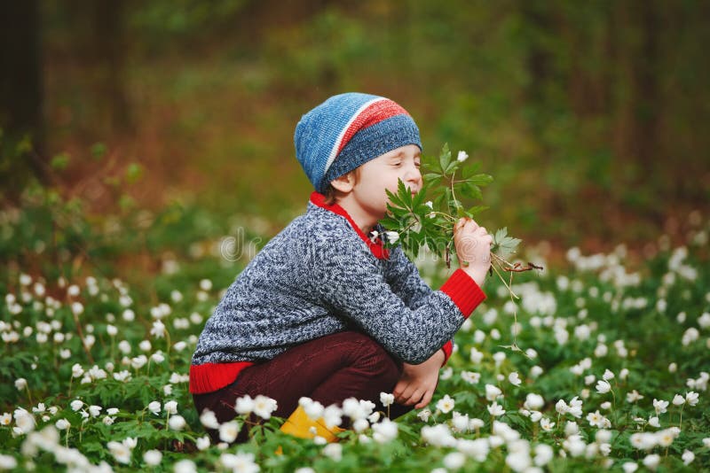 Little Boy in Spring Forest with Many Flowers Stock Photo - Image of ...