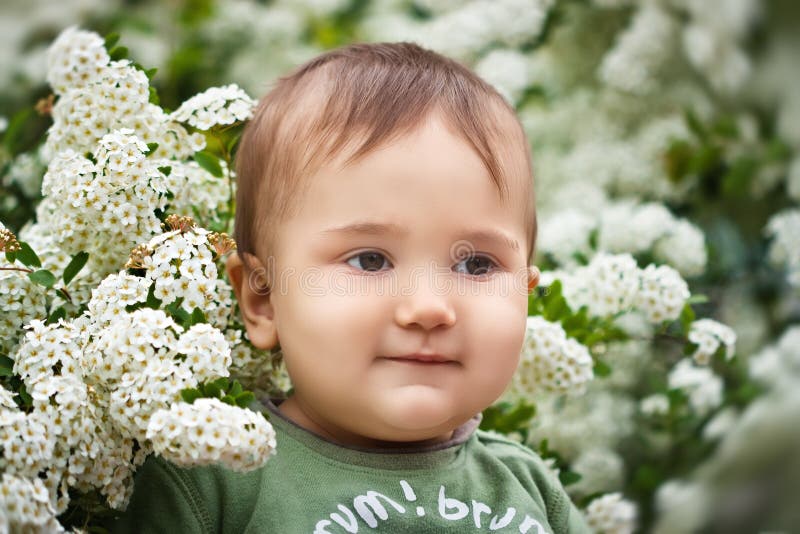 A Little Boy in the Spring Time Stock Image - Image of innocence ...