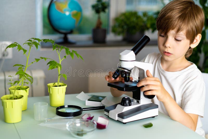 Little Boy Studies Plants Under a Microscope, Emotions of Joy and Smile ...