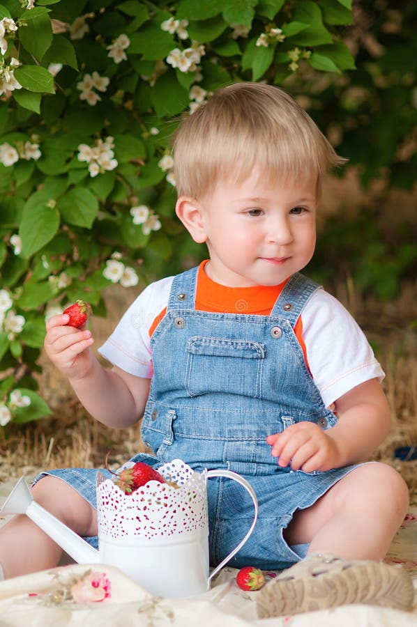 Little Boy in the Summer with Strawberries Stock Photo - Image of ...