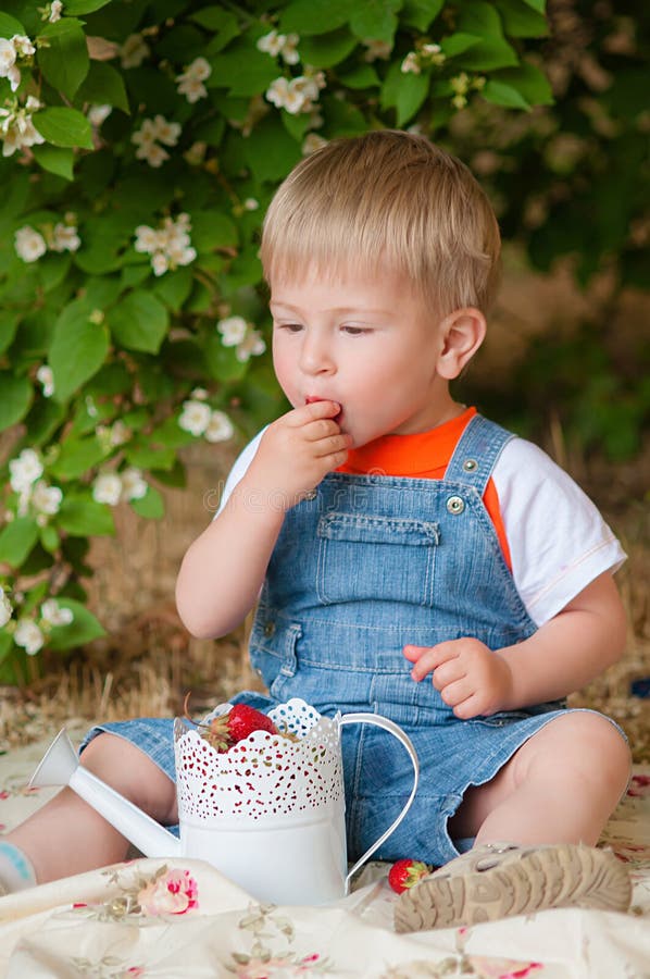 Little Boy in the Summer with Strawberries Stock Photo - Image of color ...