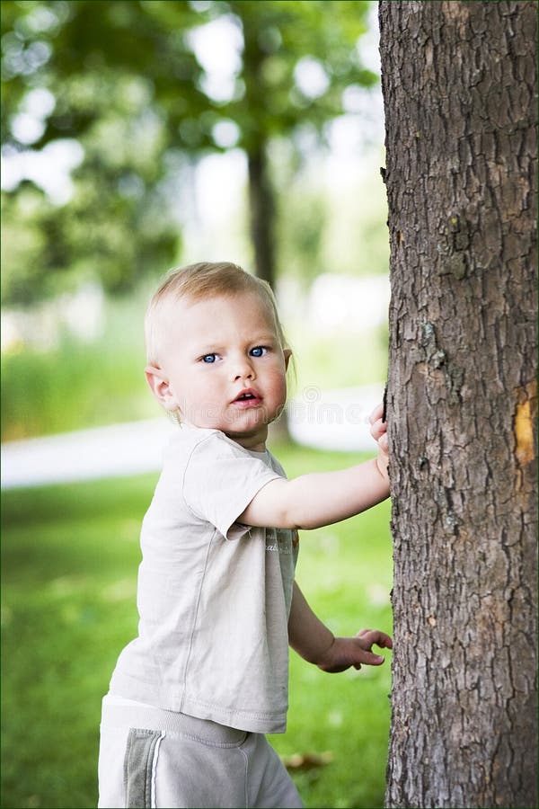 Little boy and tree stock image. Image of green, precious - 15885855