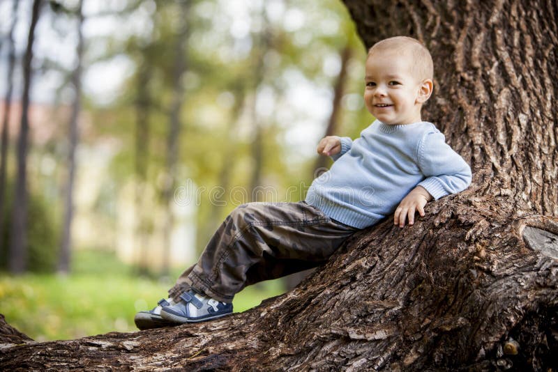 Little boy on the tree stock photo. Image of face, love - 27682110